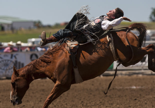 Black Hills Roundup rodeo celebrates 95 years