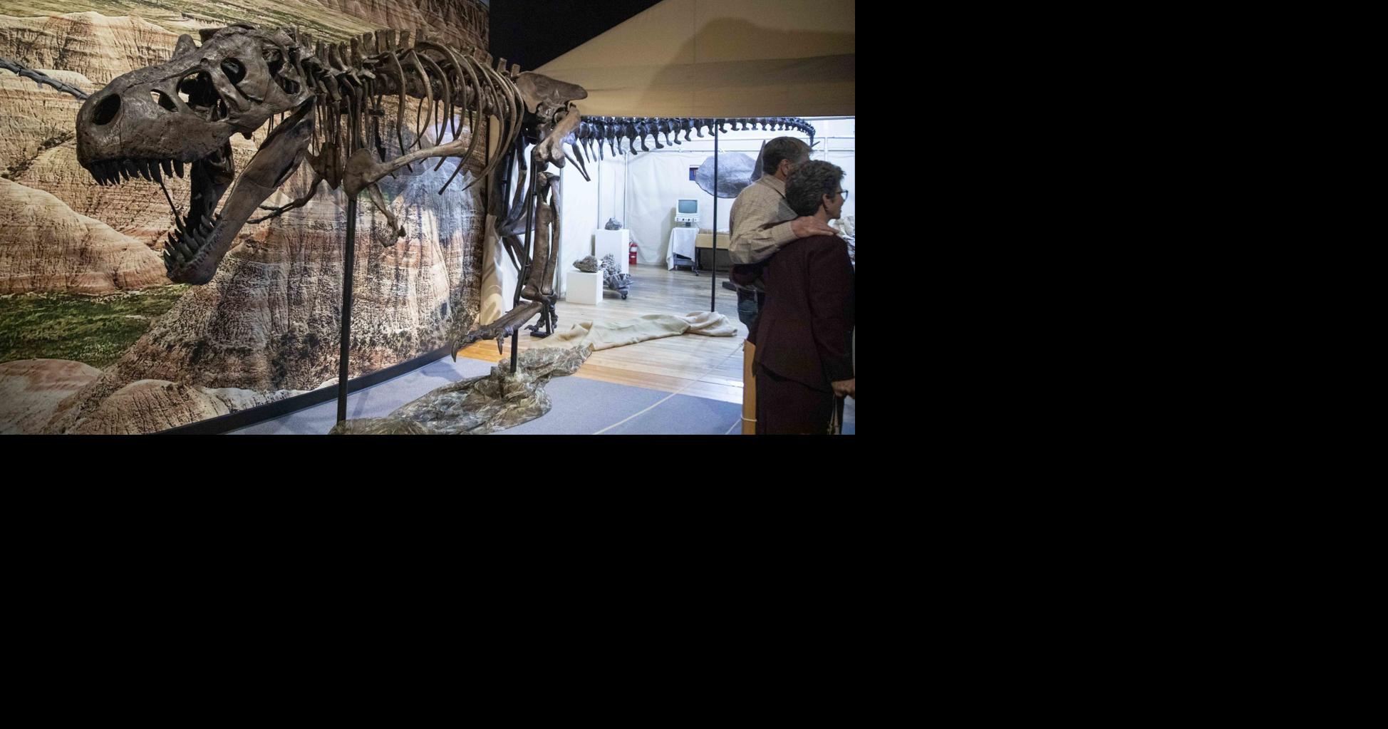 PHOTOS and VIDEO: "Tinker" takes the spotlight again