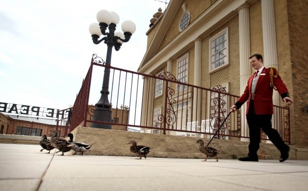 Duck Hotel Memphis Tennessee