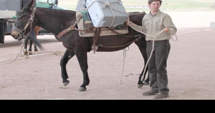 Pack string demonstrates ‘mule power’