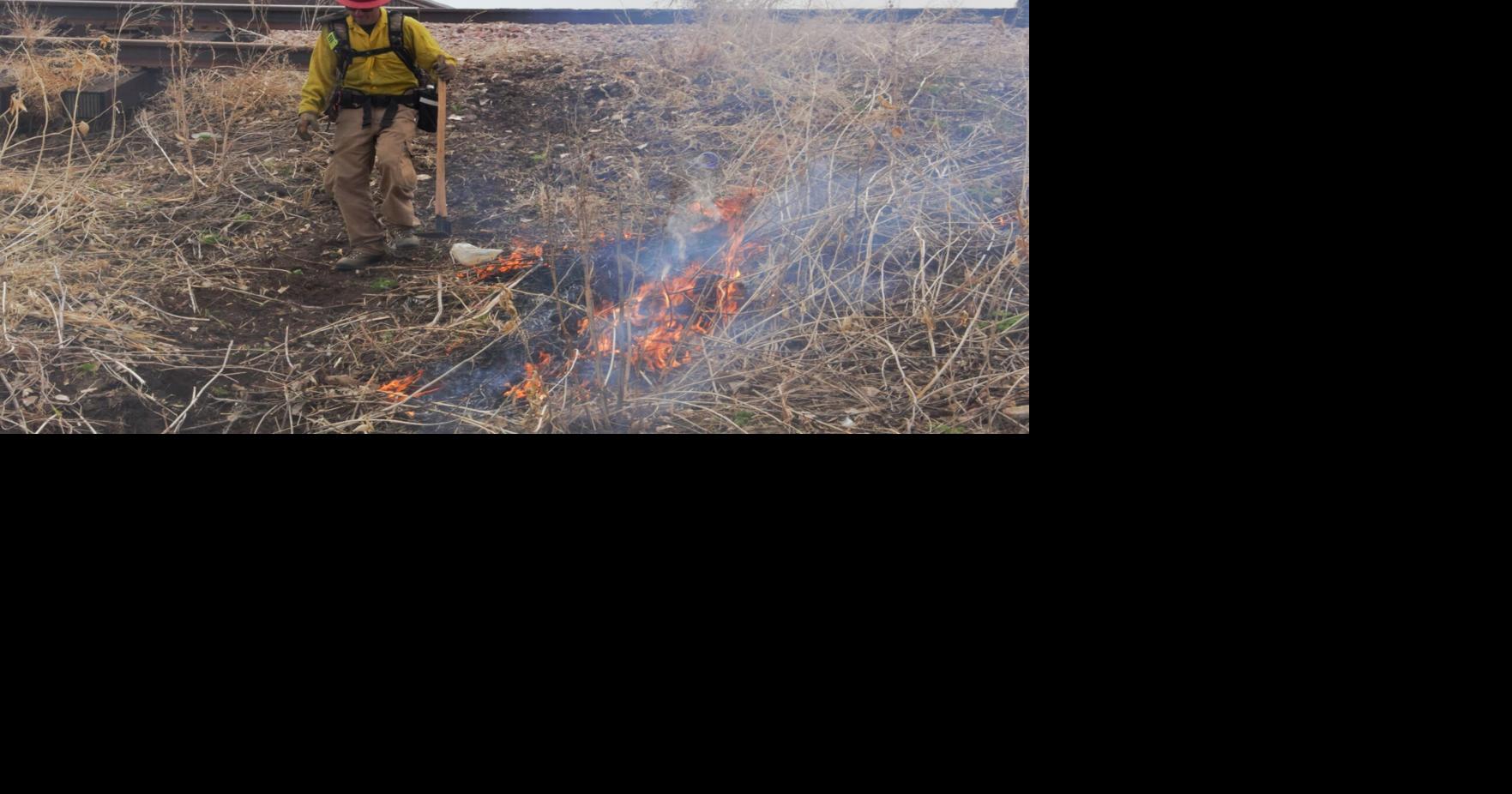Rapid City fire captain receives Smokey Bear Award