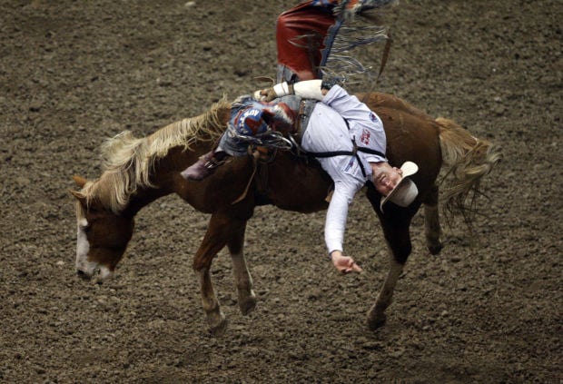 Professional Roughstock Series | Photos | rapidcityjournal.com