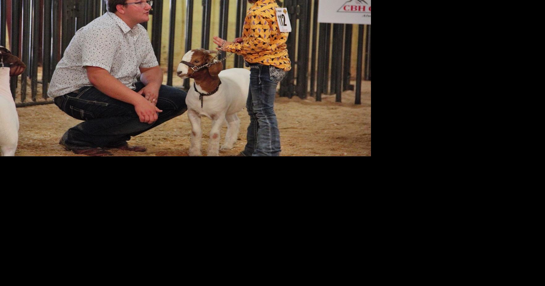 Central States Fair livestock judge shares his passion for the show ring