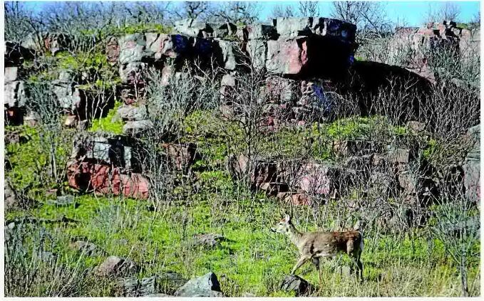 PIPES A PATH TO PRAYER