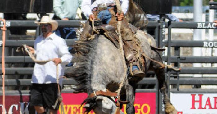 Ranch Rodeo, barbecue open Roundup rodeo activities in Belle Fourche