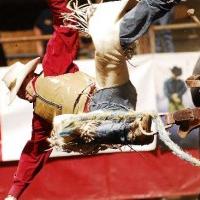 Rodeo: Schmidt leads bareback field