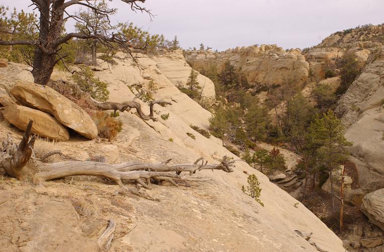 Weatherman Draw offers winter hiking, ancient exploration