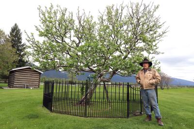 St. Mary's Mission celebrates 150th anniversary of Father Ravalli's ...