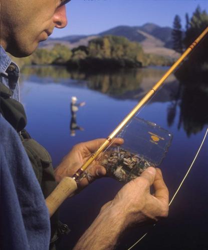 Rules of the river: Changes to fishing regulations on Bitterroot River may be coming