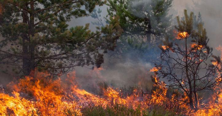 Evacuation notices issued on Railroad-Daly fire