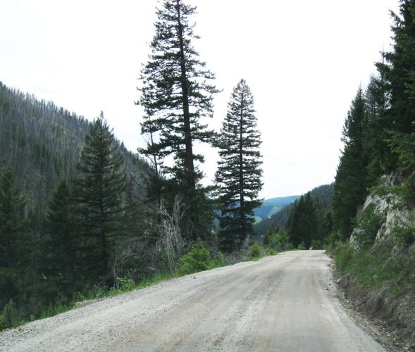 Bitterroot Icon: Skalkaho Road