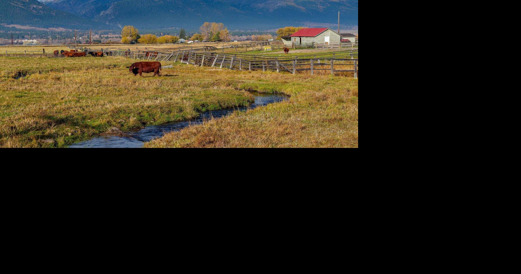 Bitterroot ranch preserved through conservation easement