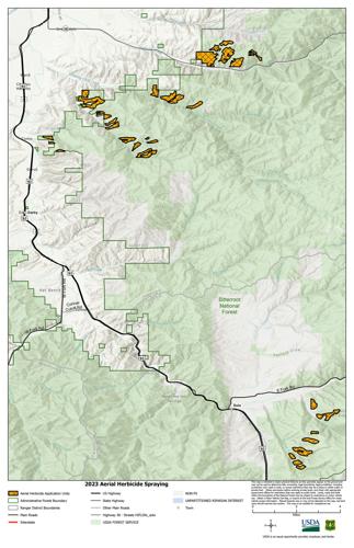 Forest planning aerial spraying for invasive weeds
