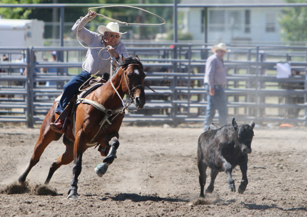 Feature photo: Senior Pro Rodeo off and running | Local News ...