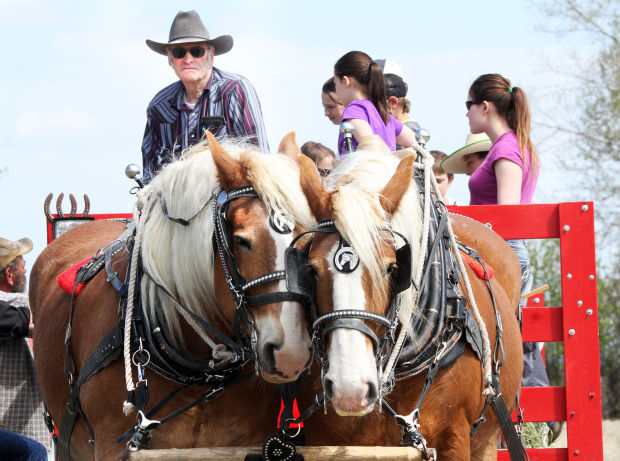 Ag introduction: Students gather at fairgrounds for 23rd annual Fourth ...