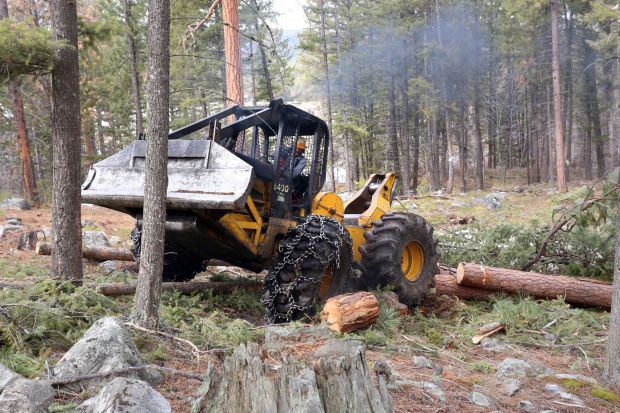 Loggers at the lake: Small crew working on thinning project at popular ...