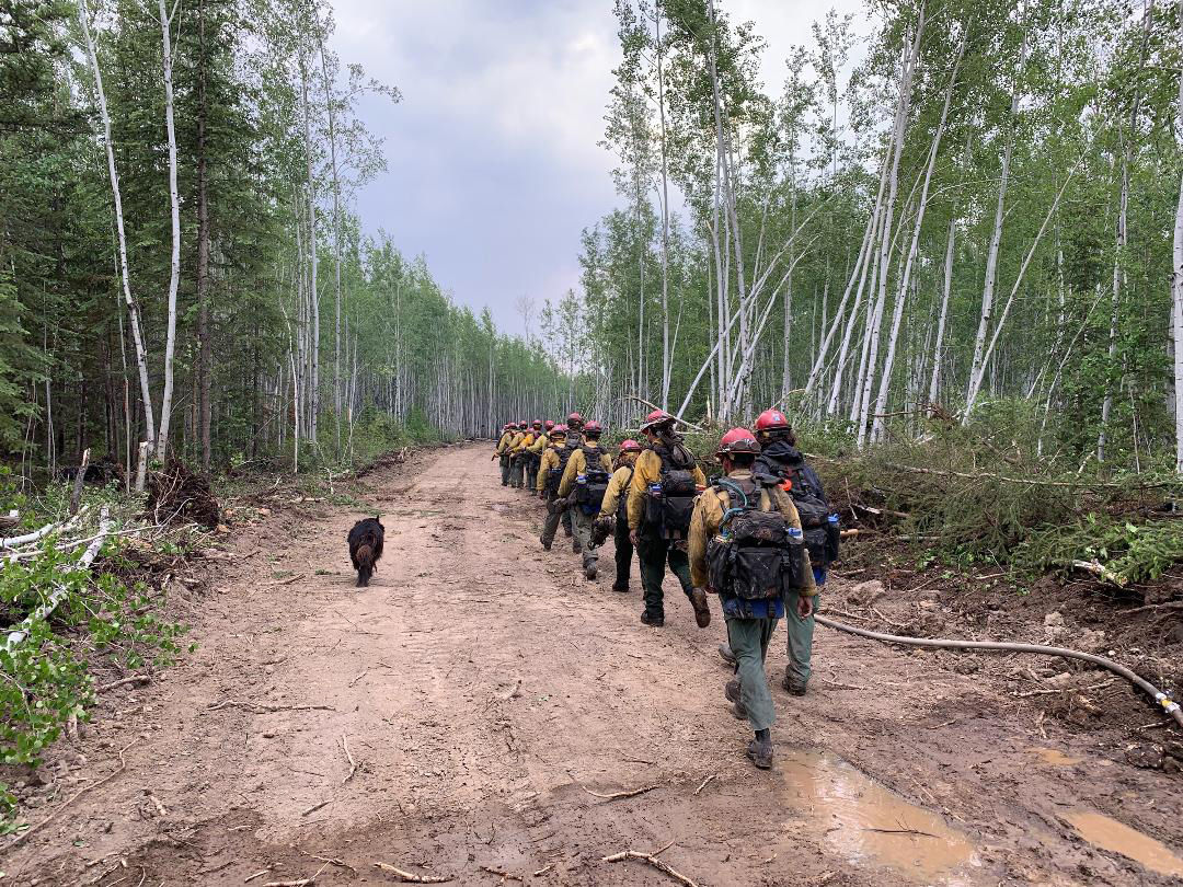 Bitterroot Hotshots face down unusual fire behavior and bears in ...