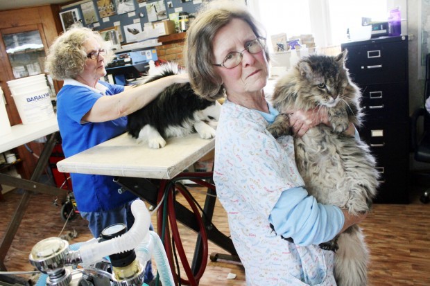 Friend to the furry: Fox Hollow Animal Project’s Marilynn Taylor ...
