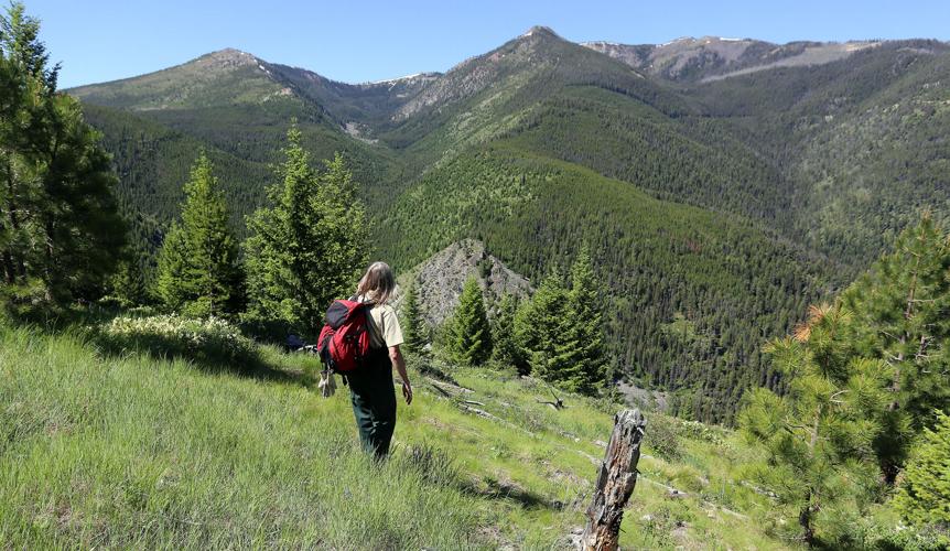 Tracing the route: Bitterroot Forest considers trail that traces Lewis ...