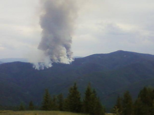 Bitterroot wildfire grows to 1,000 acres; 3 new lightning starts spotted
