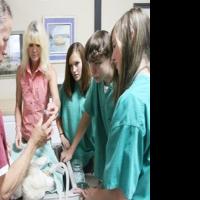 Student vets: Interns get hands-on experience at Victor veterinary hospital