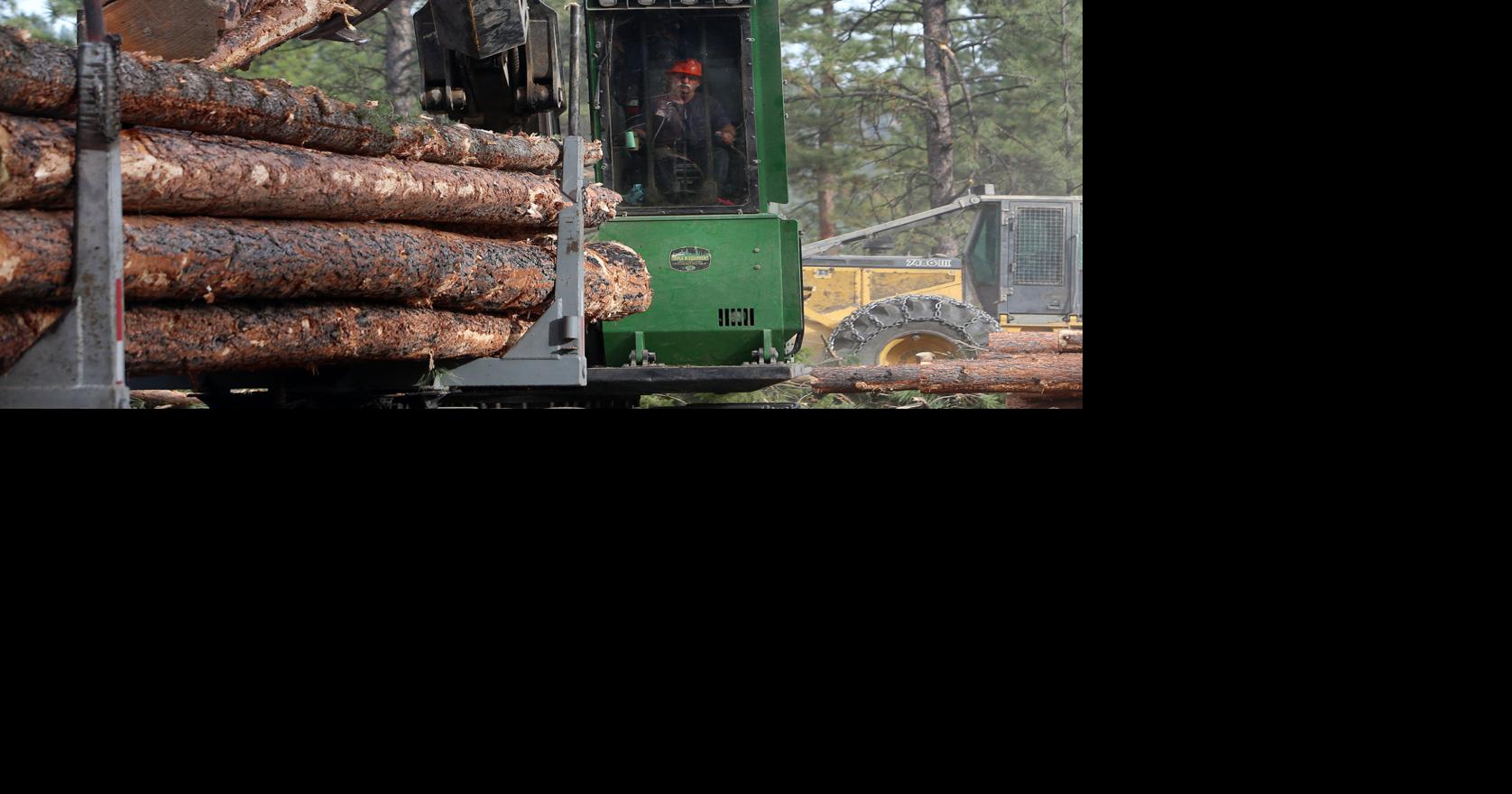 Westside timber sale moves forward