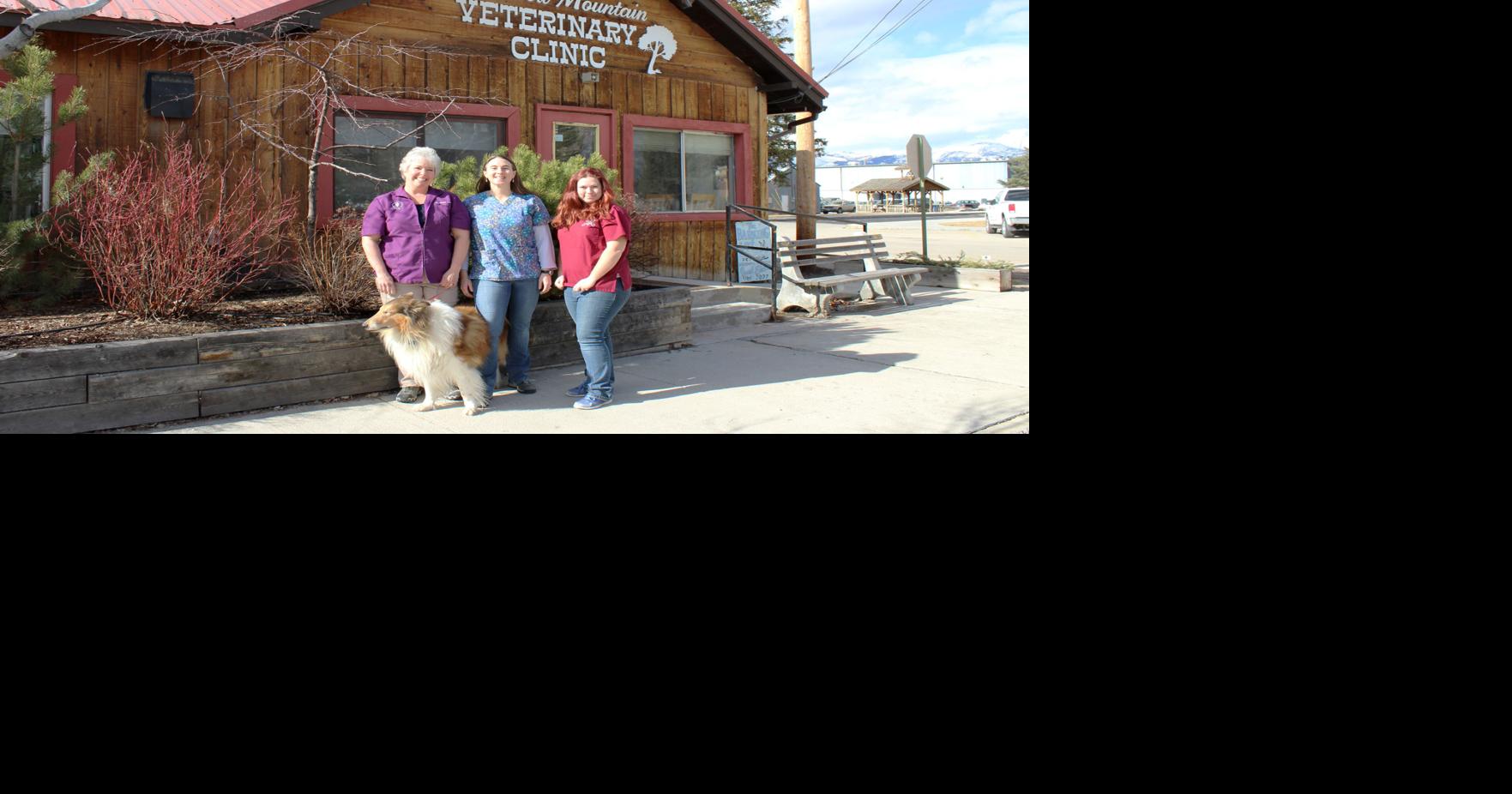 Love your pet: Willow Mountain Veterinary Clinic provides complete care ...