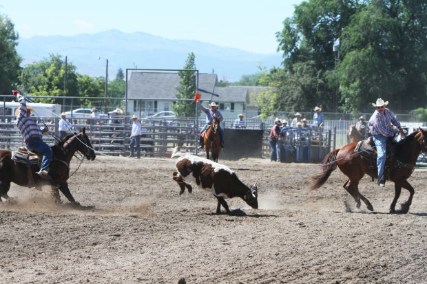 Senior Pro Rodeo, parade put on a show in Hamilton
