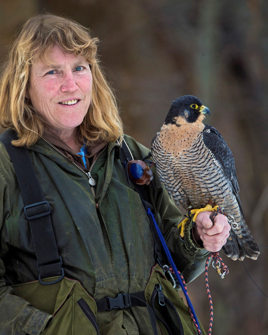 Winged humor: Kate Davis’ new book, “Birds Are People Too” captures the ...