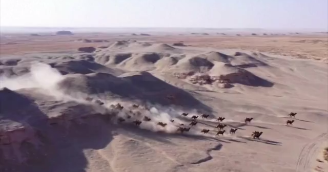 Wild camels stampede across nature reserve in China, and more of today ...