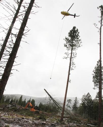 Aerial logging: Idaho-based company uses helicopter to move logs on project