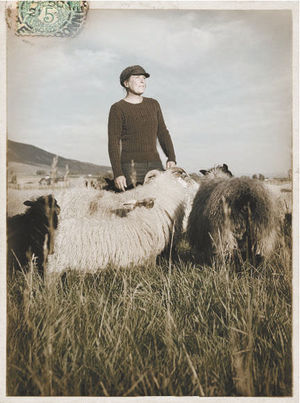 Poor Orphan Creamery brings artisan cheeses to Montana