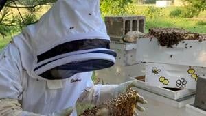 Youth council learns about consumers