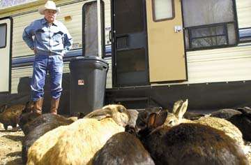 Rabbit resort - Hamilton RV park has become a safe-haven of sorts for ...