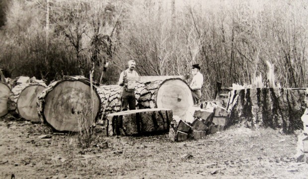 Recording history: Herbert ‘Bertie’ W. Lord may have been the first ...
