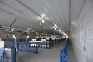 All in the extended family: Partnering with contract growers to build a ...