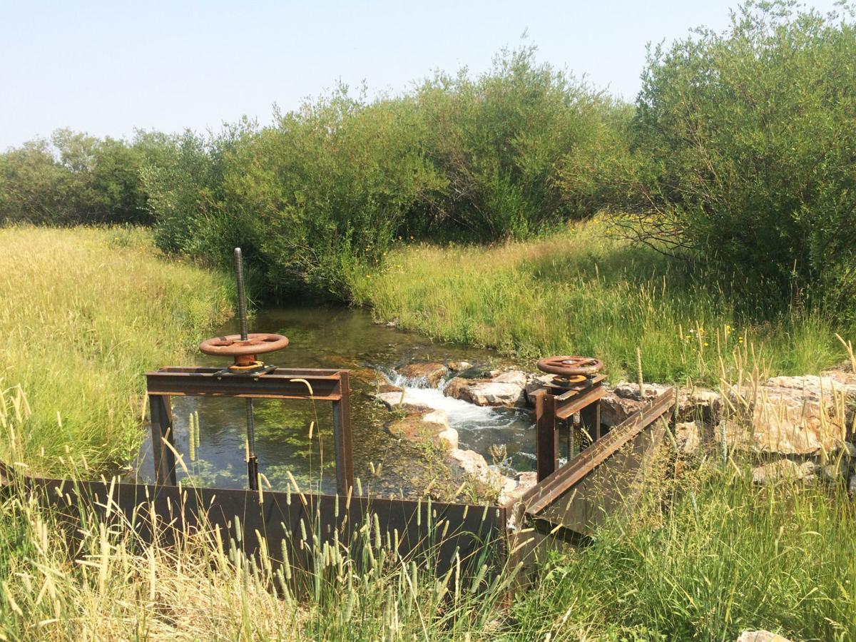 Bitterroot effort trying to keep fish out of ditches | Local News ...