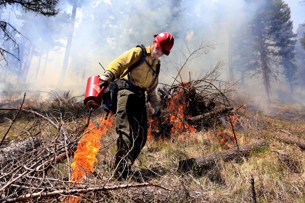 Burns planned for Sula/Darby area