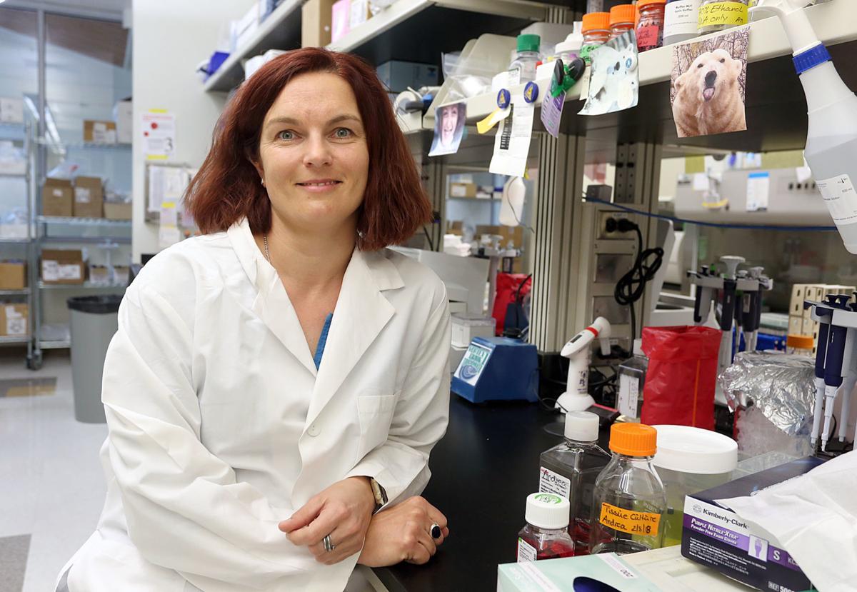 Rocky Mountain Laboratories releases latest findings on Ebola in same ...