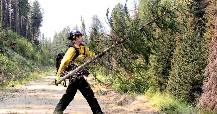 Drawing the line: Fire crews begin fighting back against Mustang ...