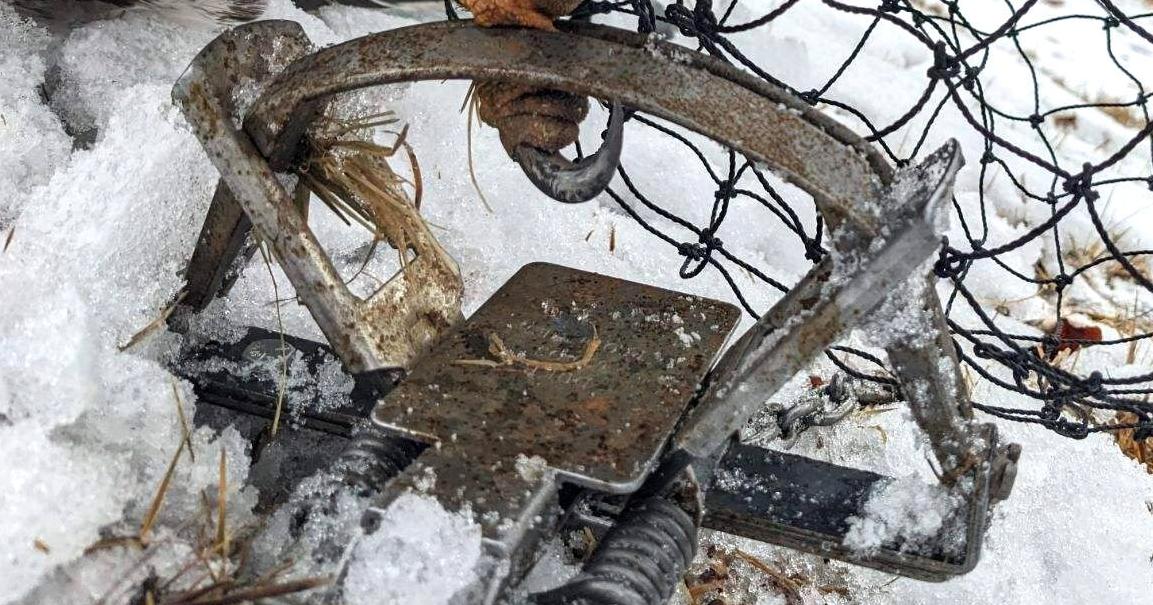 Ravalli County trapping setbacks removed from roads