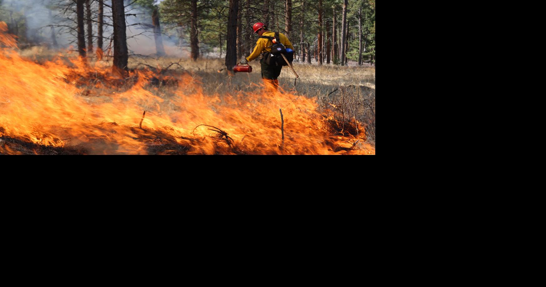 Fire crews conduct prescribed burn in Threemile WMA