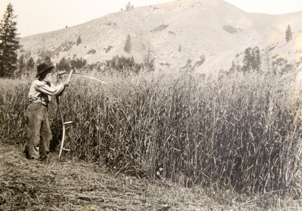 Recording history: Herbert ‘Bertie’ W. Lord may have been the first ...