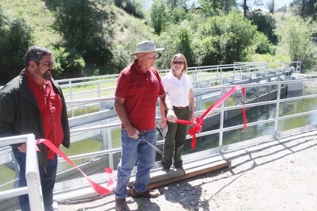 New fish screen installed on Hedge Ditch
