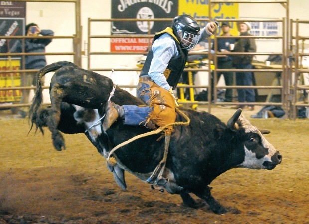 Clinic, miniature bulls teach rodeo lessons to kids