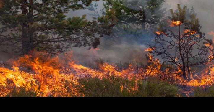 Evacuation warnings issued as Daly fire grows to 6,000 acres