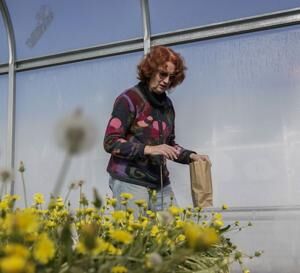 Alternative crops reflect promise