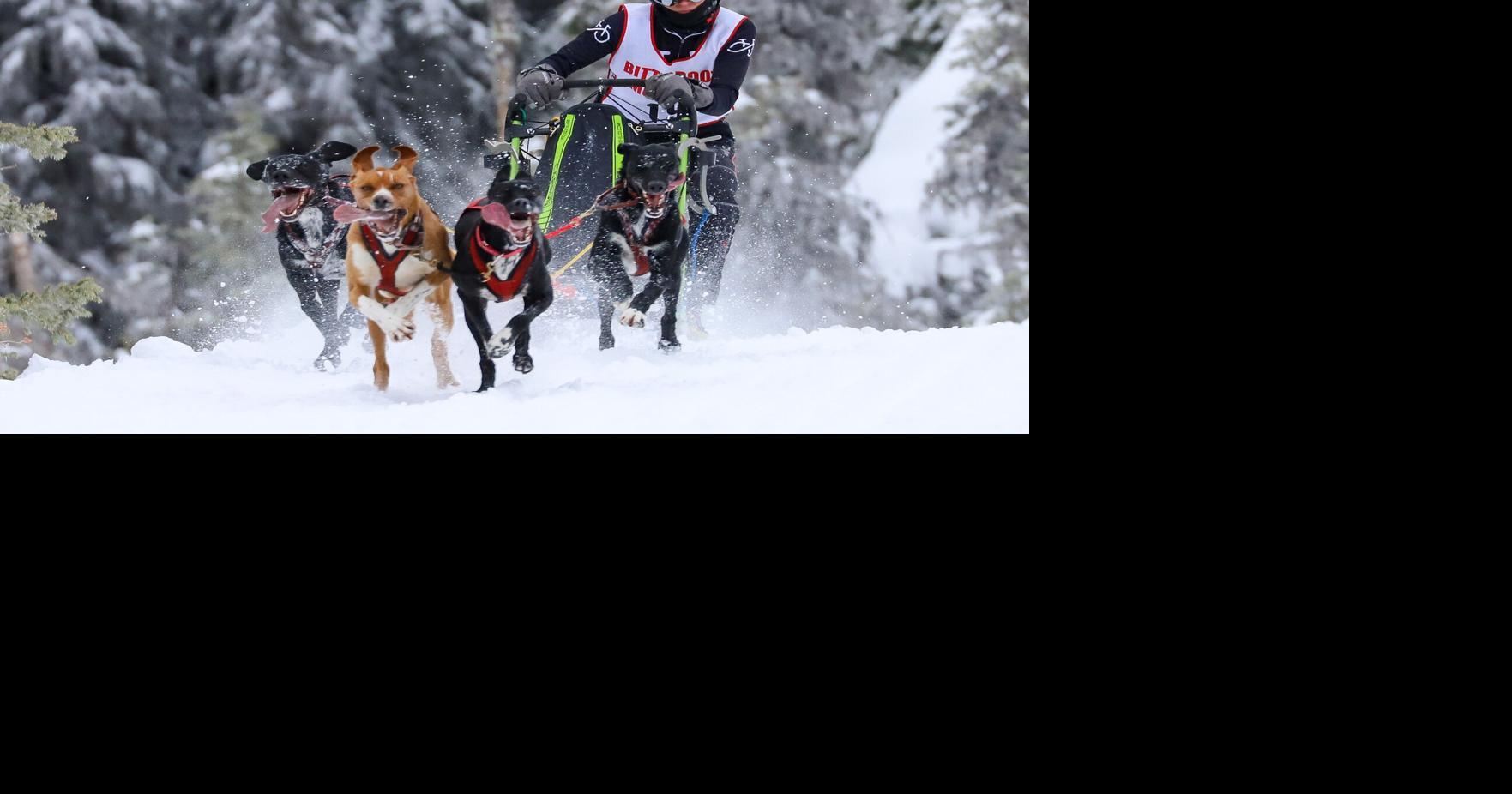 Darby Dog Derby set for Jan. 18-19 at Lost Trail Pass