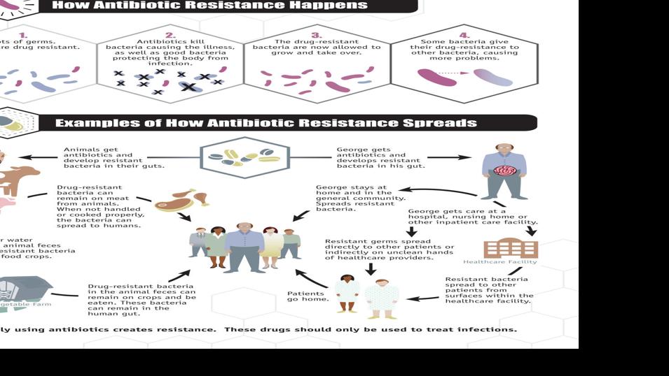 Antibiotic Awareness Week: What you should know about antibiotic ...