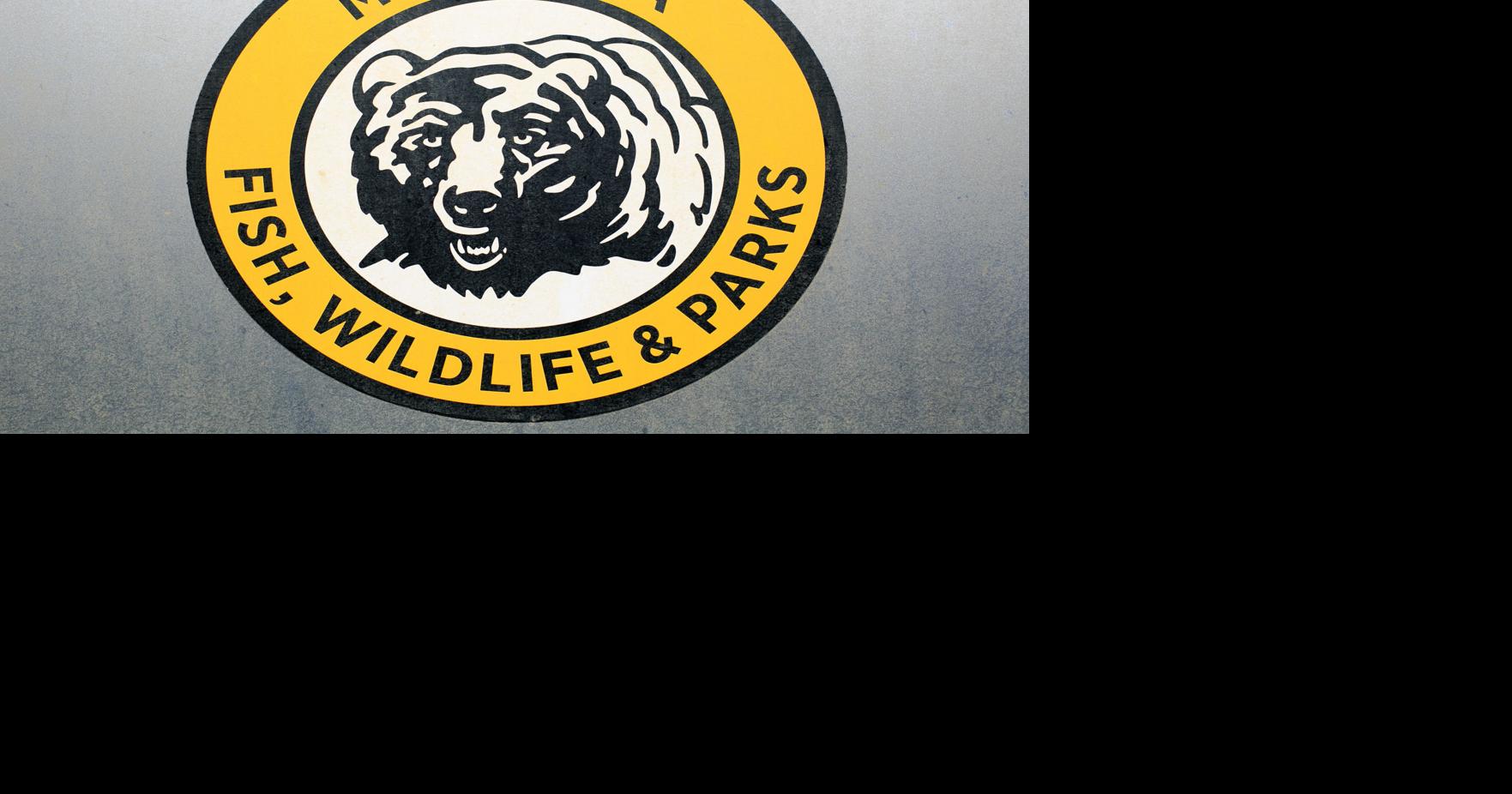 FWP seeking information on bear cub shot near Stevensville